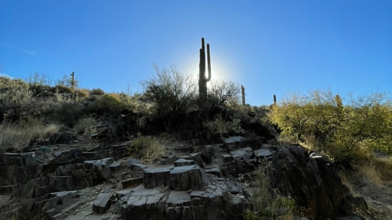 Beginning Again – Follow the Spark